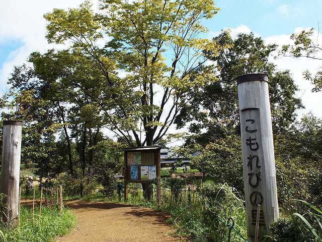 こもれびの里・探訪 古民家屋敷 ソバ ススキ ハギ オミナエシ はざ掛け Nobaraの散歩道